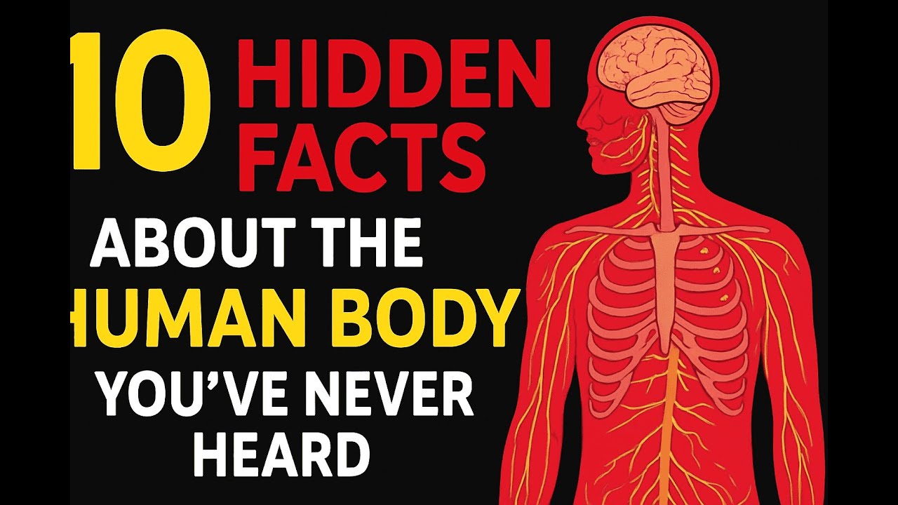 10 Hidden Facts About the Human Body You’ve Never Heard - YouTube