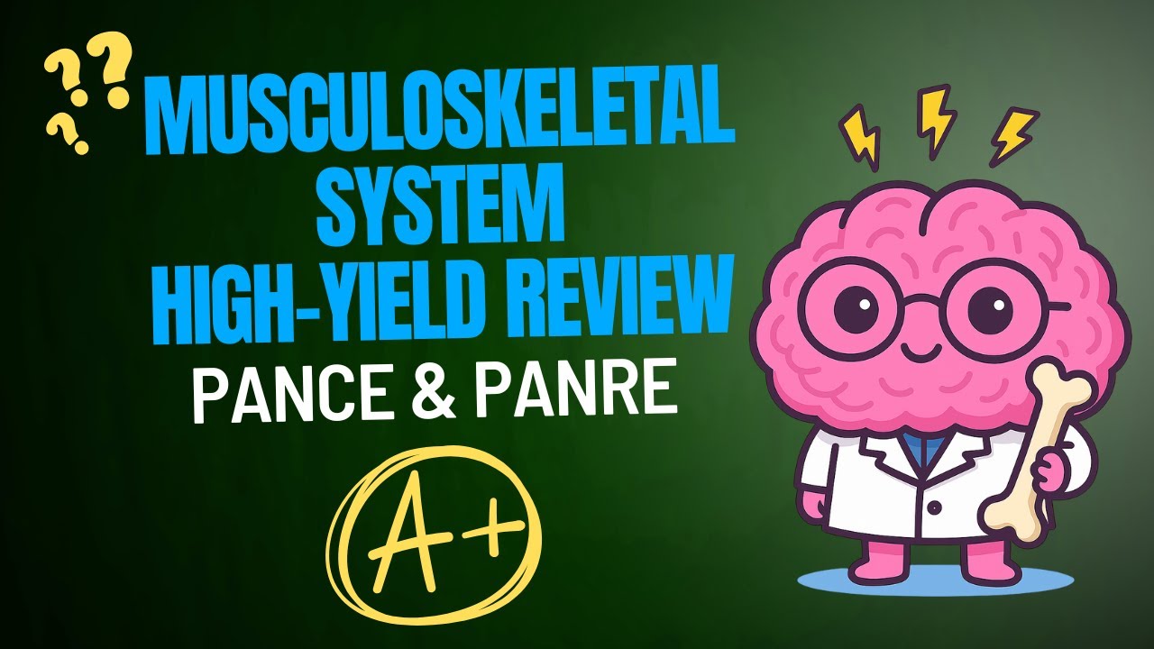 Musculoskeletal System High-Yield PANCE & PANRE Review - YouTube