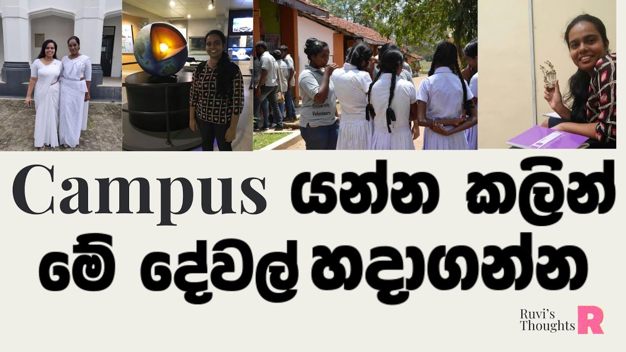 Campus යන්න කලින් මේ දේවල් හදාගන්න| Skills you need for a successful ...
