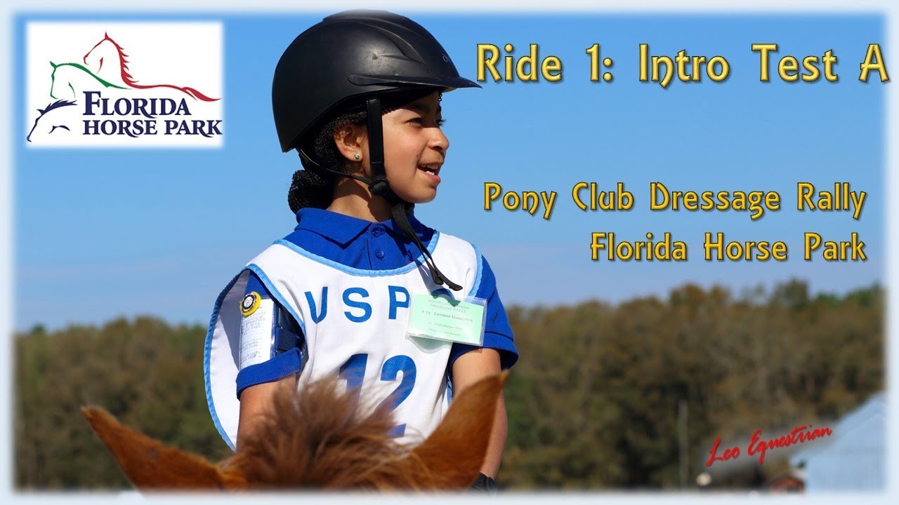 Pony Club Rally-Ride1 Intro Test A_Leo Equestrian - YouTube