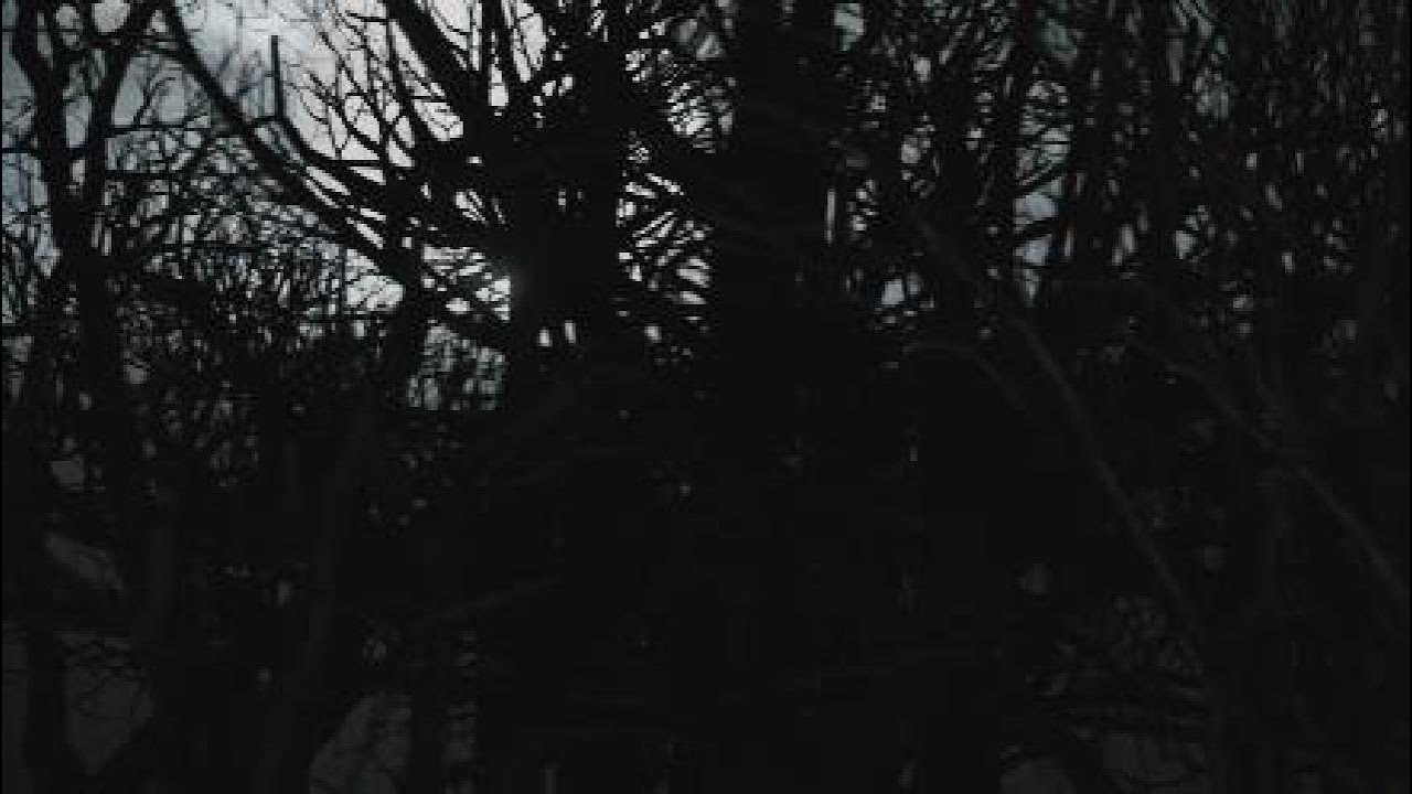 Film - HORROR TAKEOVER!!! - 2024_7_20_22_28_12* - YouTube