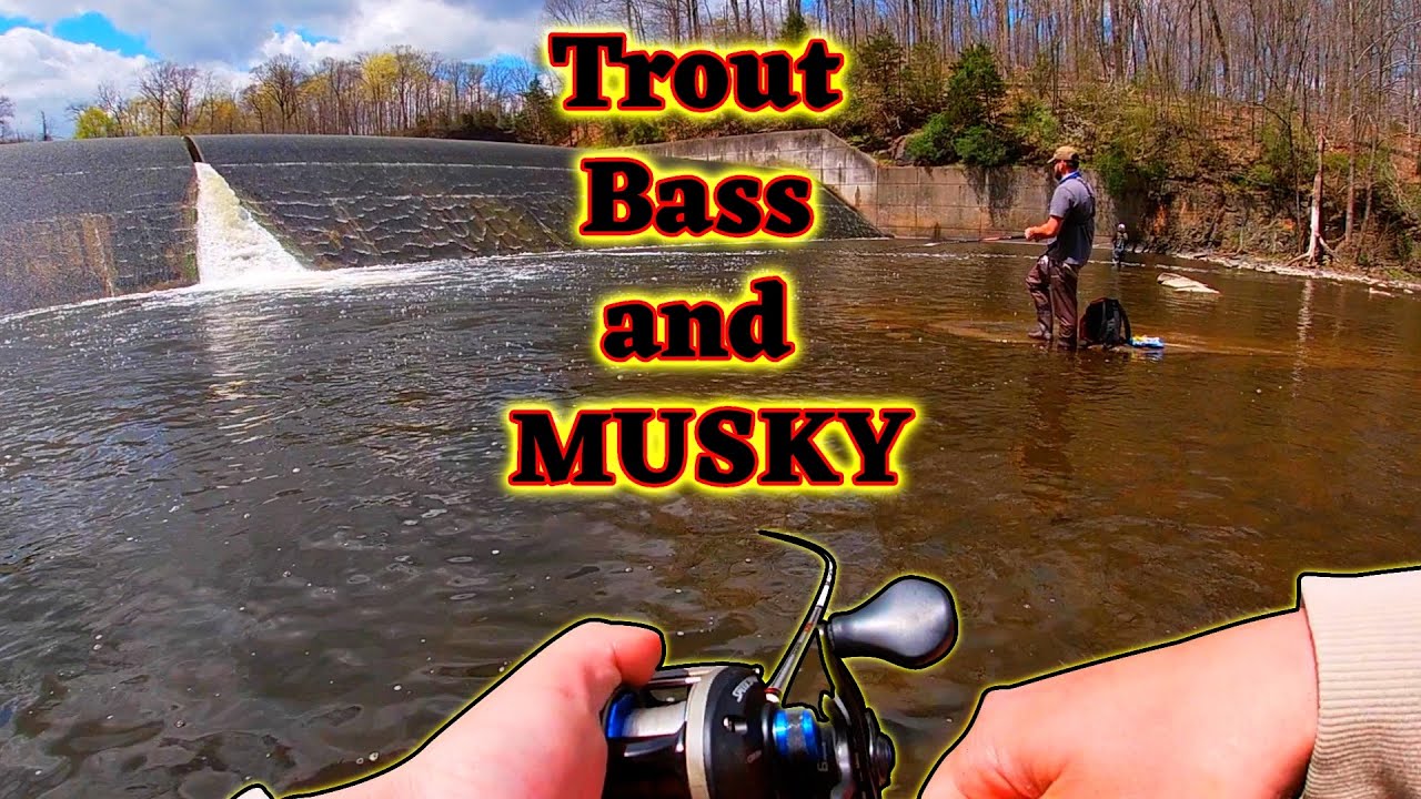 Pa Spring Fishing for TROUT, BASS and MUSKY - YouTube
