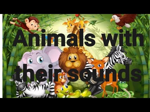 Animal Sounds for Kids | Guess the Animal Sound Game @FUNTM786 - YouTube