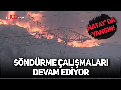 Hatay'da ormanlık alanda çıkan yangın iki noktada sürüyor