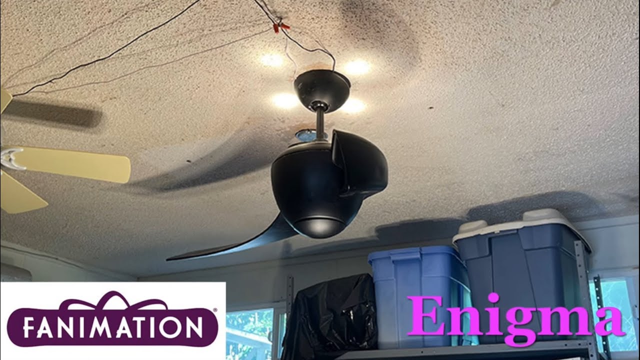 60” Fanimation Enigma ceiling fan (2024 Remake) - YouTube