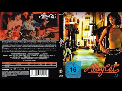 Sokak Kedisi - 1984 - Türkçe Dublaj - BluRay Geldi