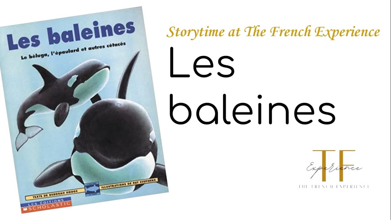 Les baleines | Storytime at The French Experience - YouTube