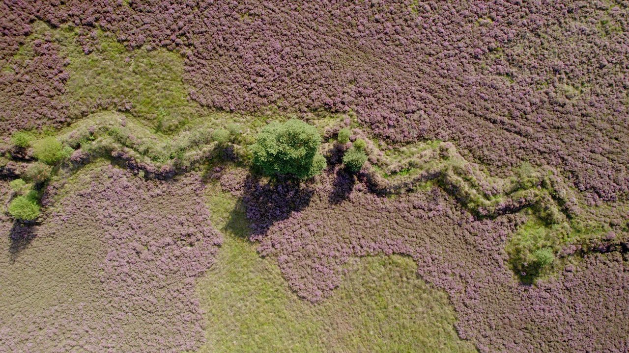 Heide Balloerveld 2023 - YouTube