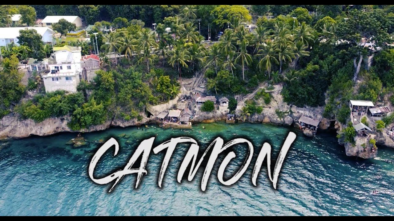 Freediving experience in Catmon, Cebu - YouTube