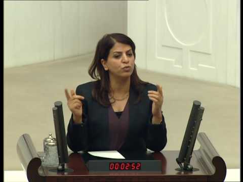 HDP Diyarbakır Milletvekili Sibel Yiğitalp'in 30 Kasım 2016 tarihli konuşması
