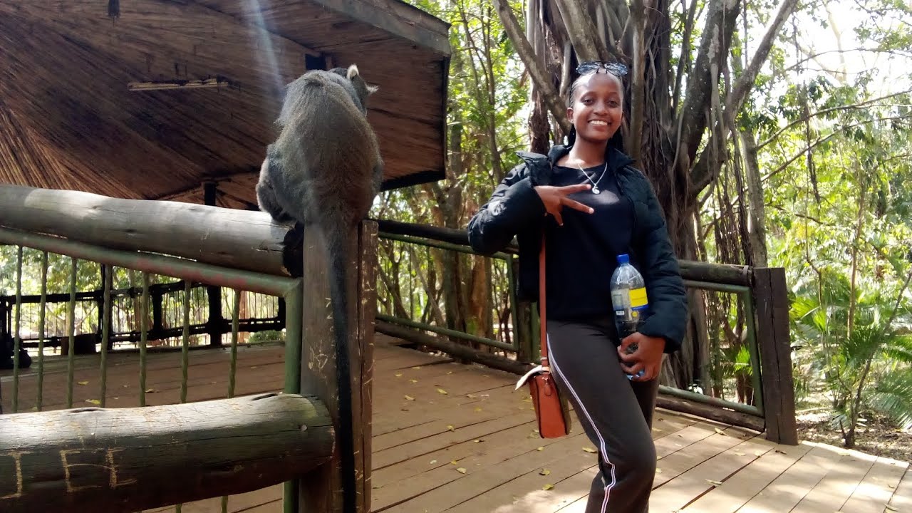 SAFARI WALK IN NAIROBI 🤍 - YouTube