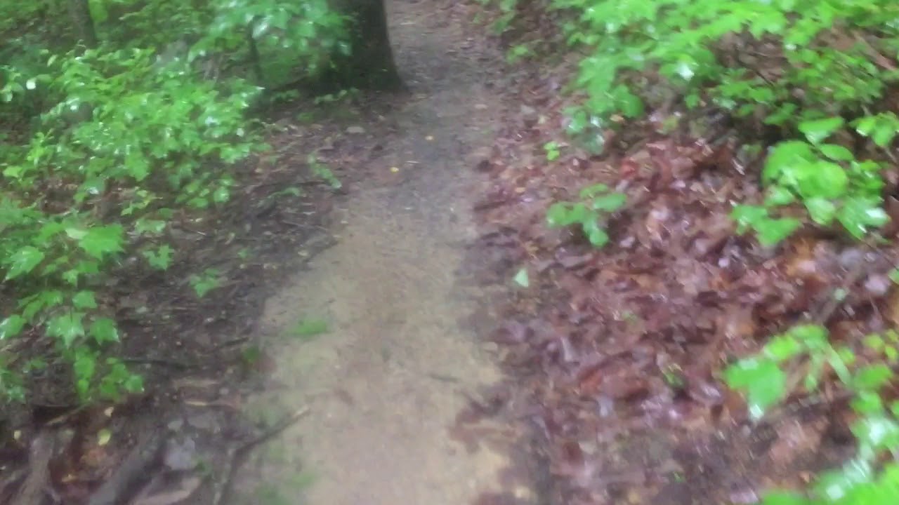 AT Hike Day 64 Dick’s Dome-Whisky Hollow Shelter to Bears Den Hostel ...