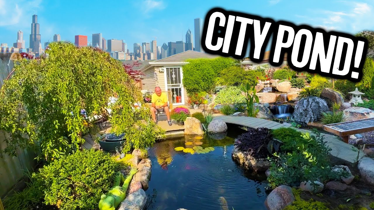 Tiny Backyard, Big Paradise #cozy - YouTube