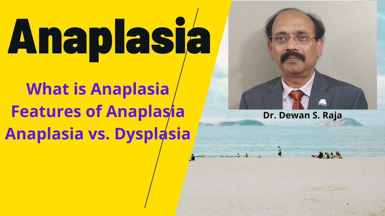 Anaplasia - YouTube