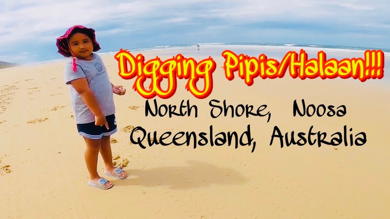 Finding Pipis for fishing @enasozadventure - YouTube
