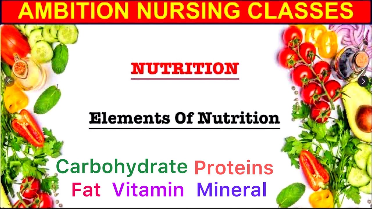 Elements of Nutrition | Macronutrients- Fat Protein Carbohydrate ...