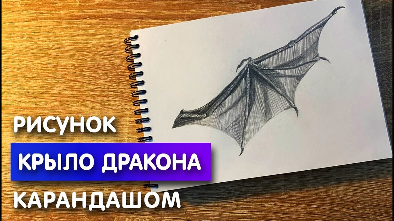 Как нарисовать крыло карандашом Рисунок для начинающих поэтапно Youtube