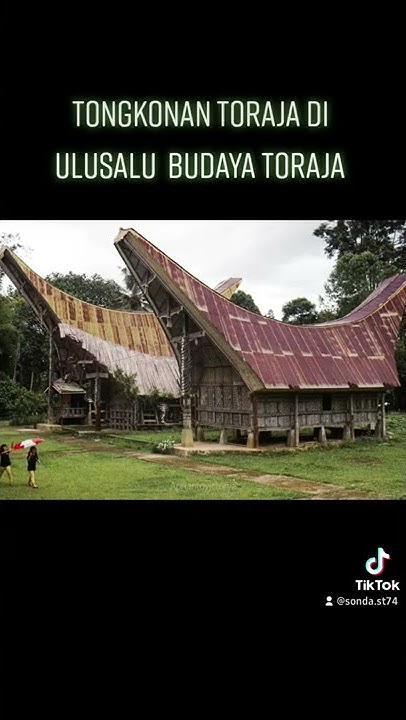 rumah tongkonan layuk pattan orang toraja yang ada di ulusalu tana toraja @torajaku - YouTube