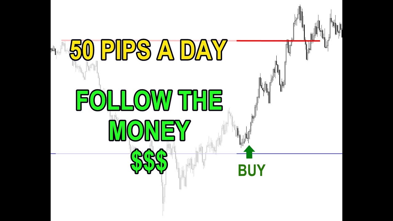 50 PIP$ A DAY | FOLLOW THE MONEY $$$ - YouTube