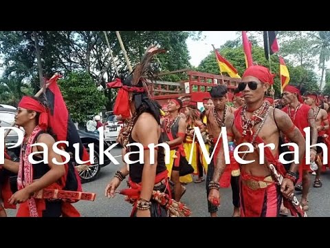 Pasukan Merah Dayak #dayak #pasukanmerah - YouTube