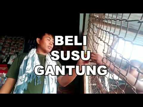 ngakak parah 18+!! anak kecil || BELI SUSU GANTUNG || di warung kopi