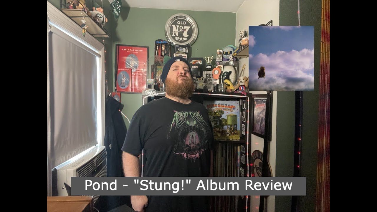 Pond - "Stung!" Album Review - YouTube