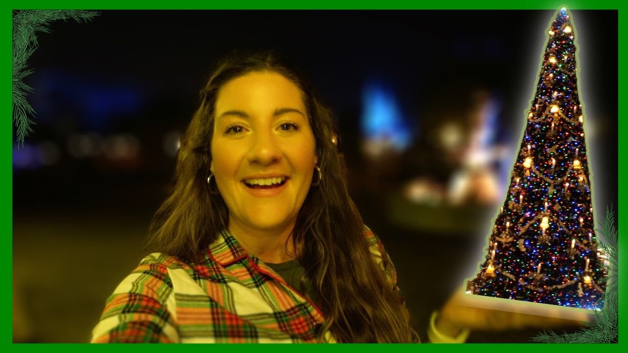 Mickeys Very Merry Christmas Party Our First Time Youtube