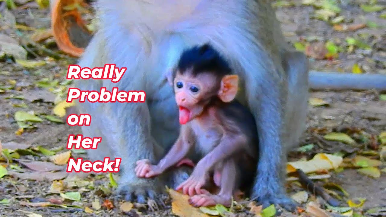 Really The Problem Of Her Child s Neck YouTube really-the-problem-of-her-child-s-neck-youtube
