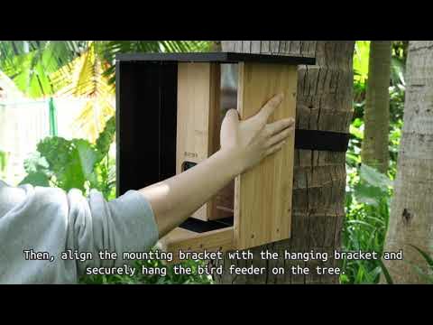 How to Mount Your Birdfy Feeder Bamboo on a Tree - Birdfy Feeder Bamboo ...