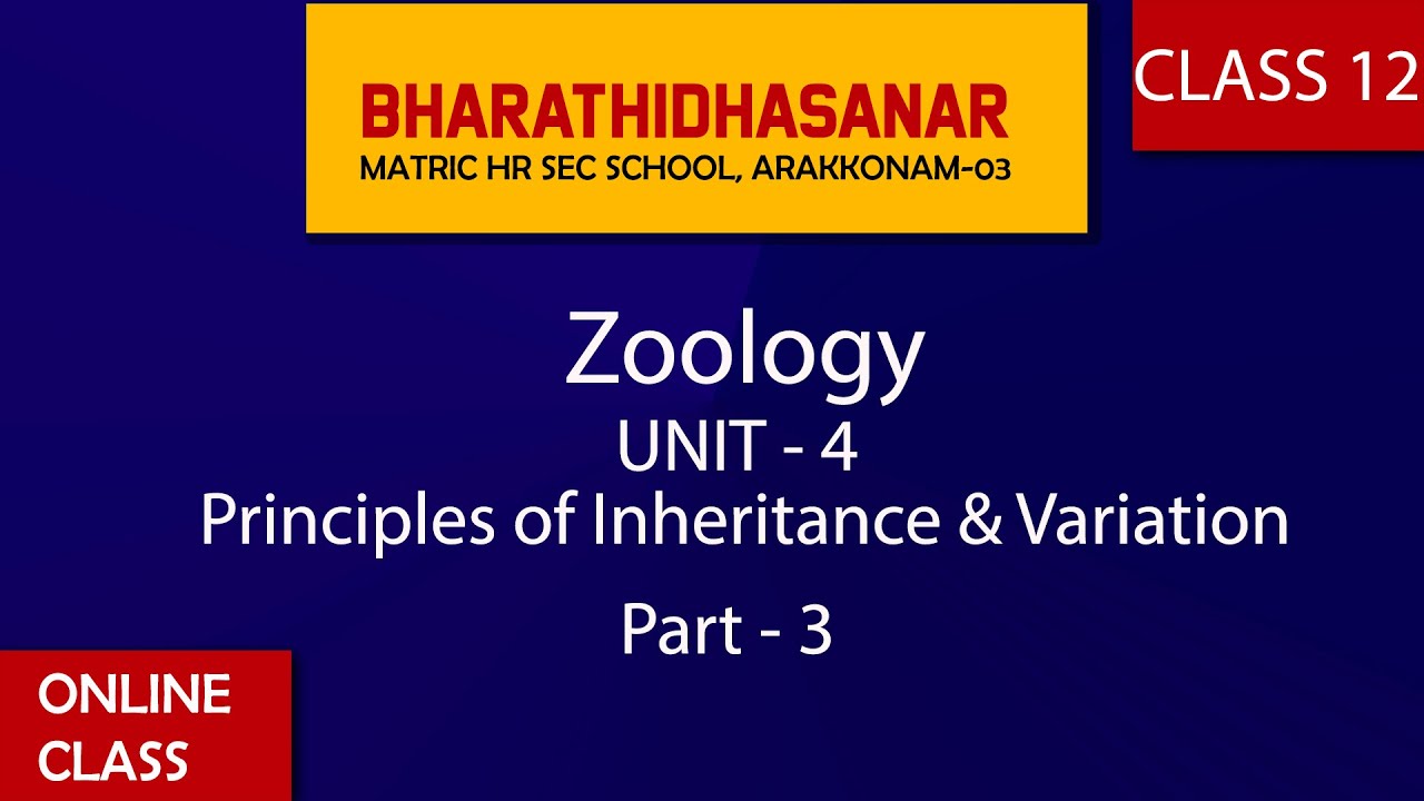 Zoology | Class 12 | Chapter 4 |Principles of Inheritance & Variation ...