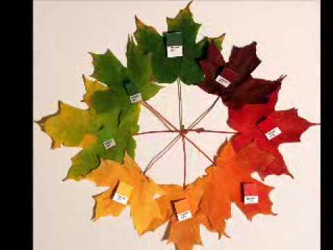 Autumn Leaves Ed Sheeran - YouTube