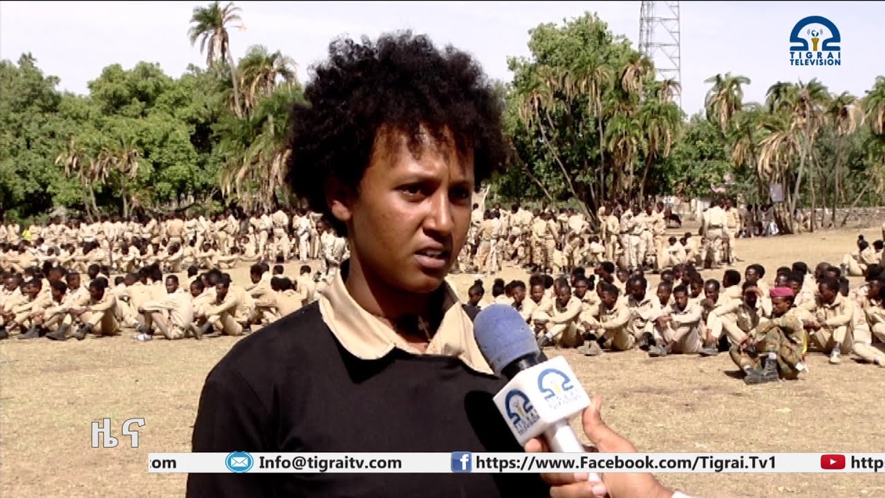 Live Streaming TIGRAI TELEVISION - YouTube