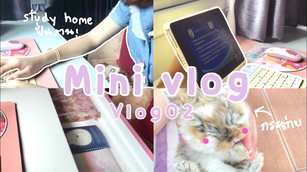 Vlog02 เลี้ยงกระต่าย , เรียนออนไลน์วันแรกของสัปดาห์ ,จัดของ🥛🧇🧚🏻‍♀️ ...