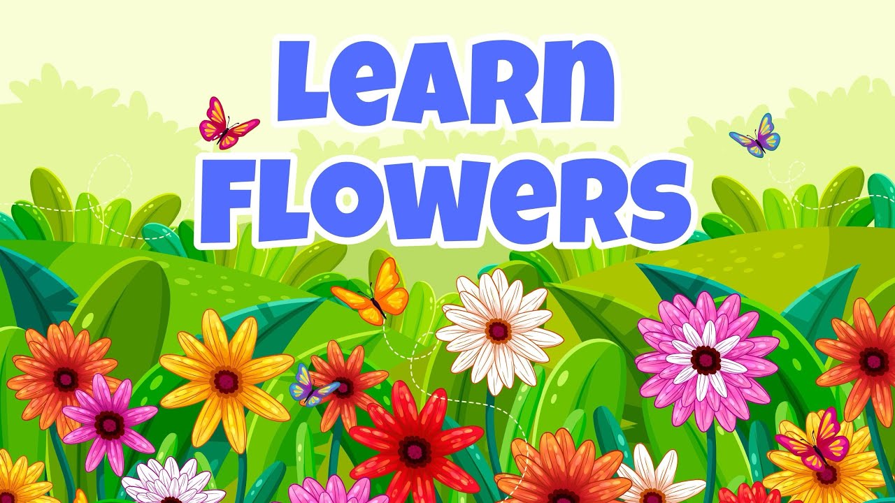 Learn about Flowers - YouTube