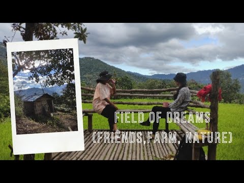 Vlog at Friend's Farm|Life in Village|Rural Life|Nature|Chizami|Phek ...