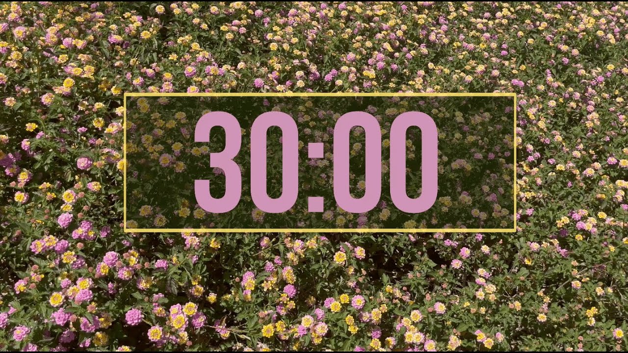 Calming Countdown: 30 Minute Timer with Ambient Guitar - YouTube