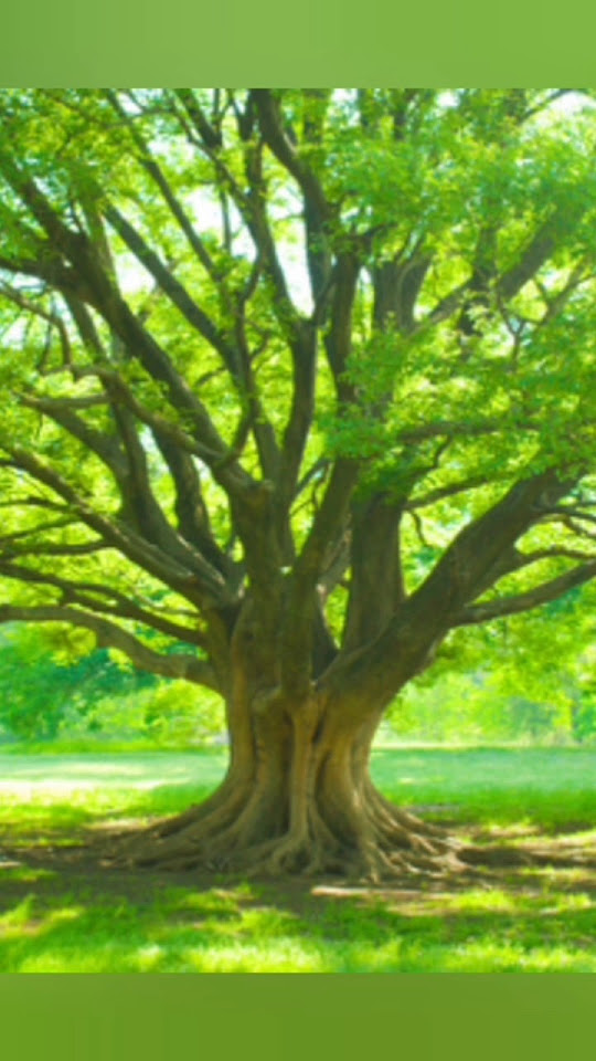 ONLY THREE HAS SAVE THE EARTH #21 #short #three #earth - YouTube