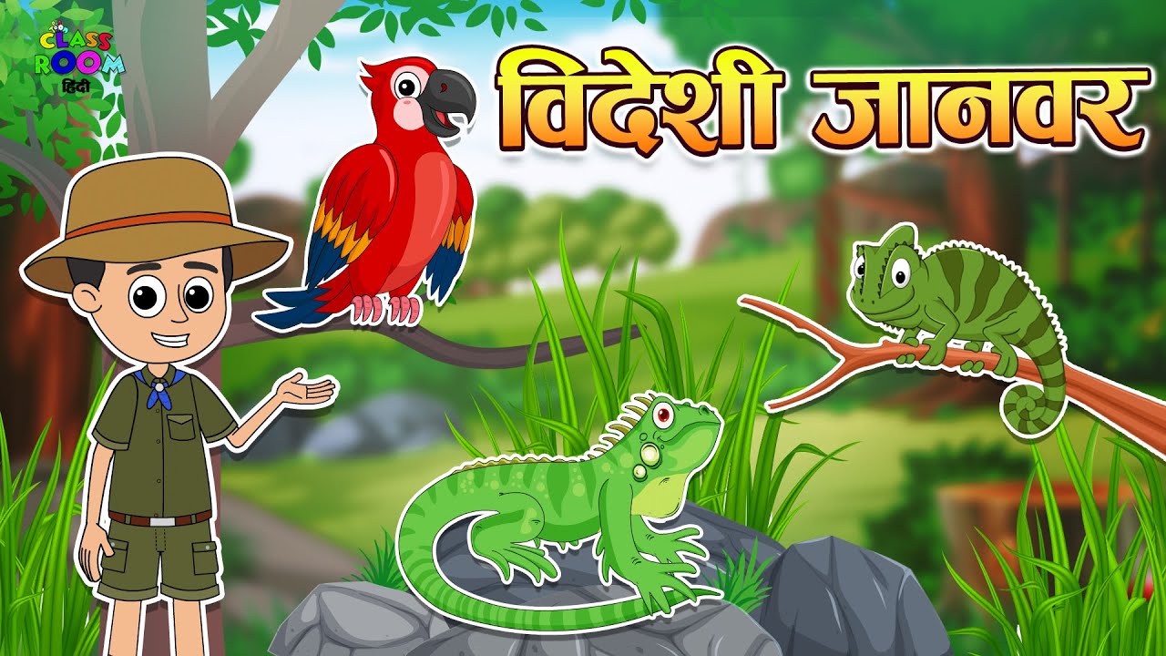 विदेशी जानवरों के प्रकार | Draw & Colour | DIY Drawing | Puntoon ...