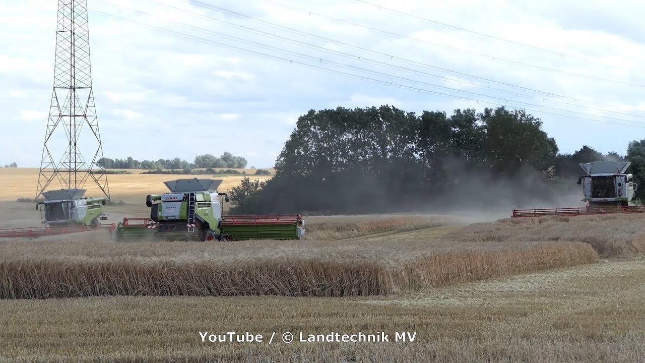 3x Claas Lexion 780TT / Getreideernte - Grain Harvest 2019 - YouTube