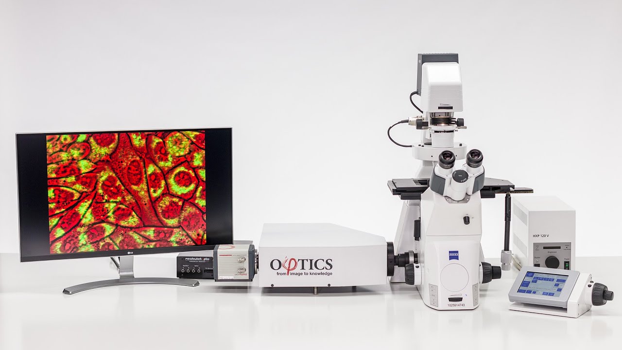 Phi Optics Spatial Light Interference Microscopy (SLIM) - YouTube