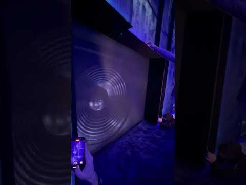 World record! The biggest subwoofer of the world. It's 80-inches ...