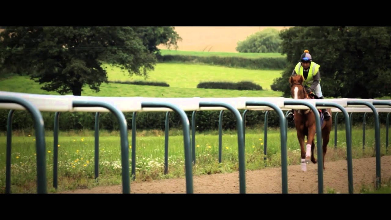Manor House Stables - Facilities - YouTube