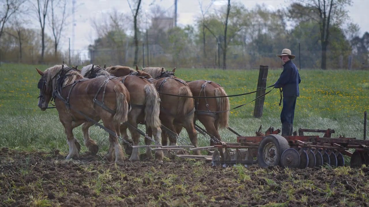 Amish Ray Hummel III More Instruments - YouTube