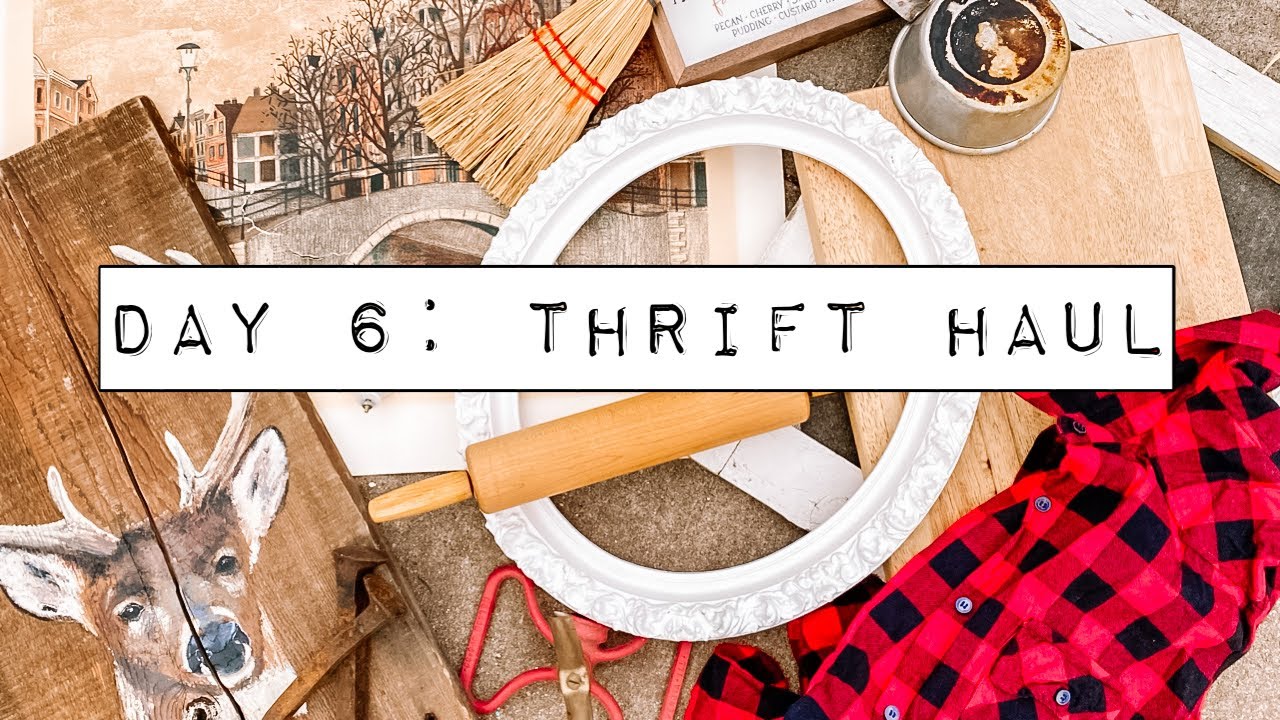 25 Days of Thriftmas - Day 6: Thrift Haul from the Goodwill Bins ...