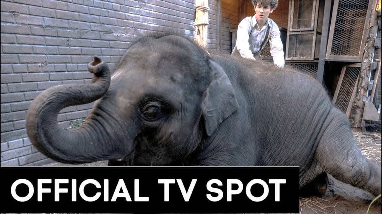 ZOO | Official TV Spot [HD] - YouTube