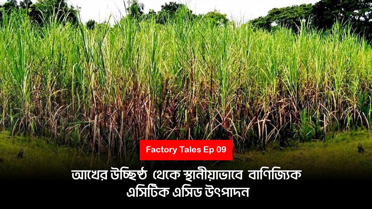 Production & Purification Process of Acetic Acid from the Sustainable ...