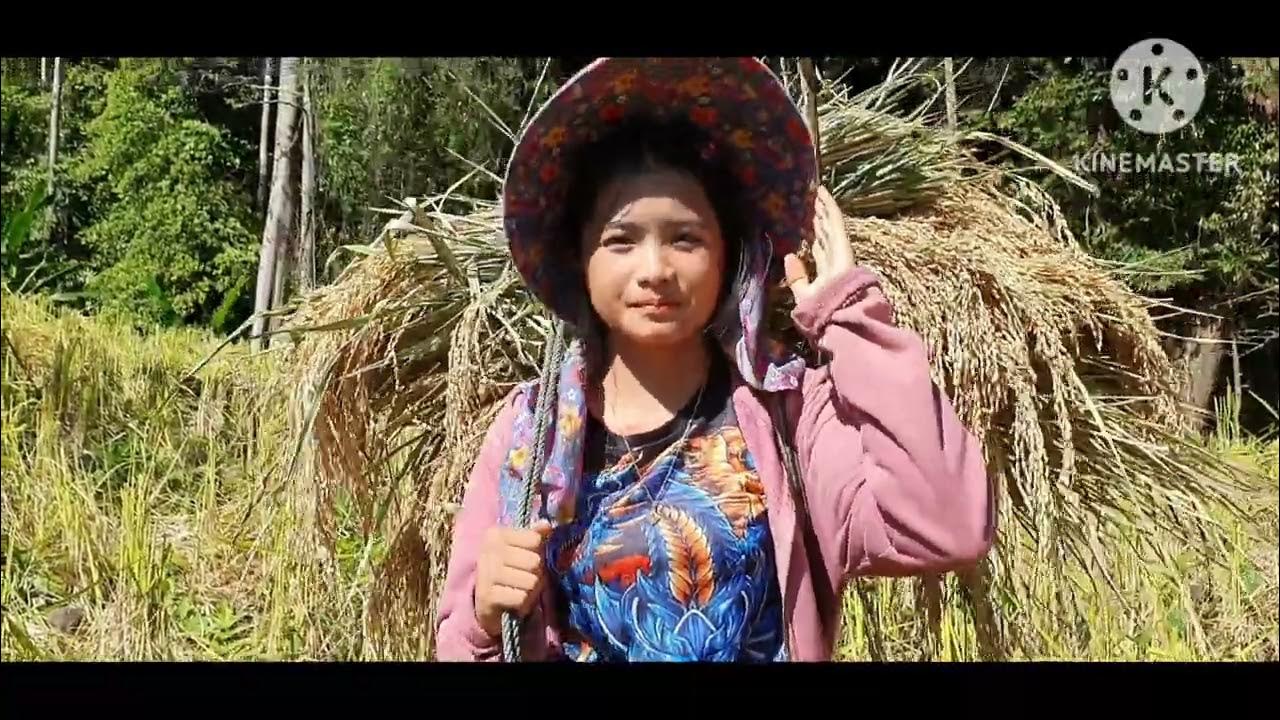 yeeb laim peb sau plej tsav kub heev 30 ຕຸລາ 2024 - YouTube