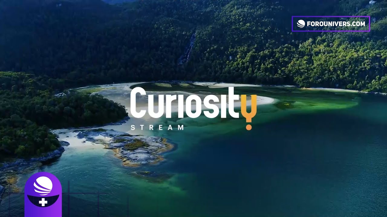 Promo Curiosity Channel | Noviembre 2023 - YouTube