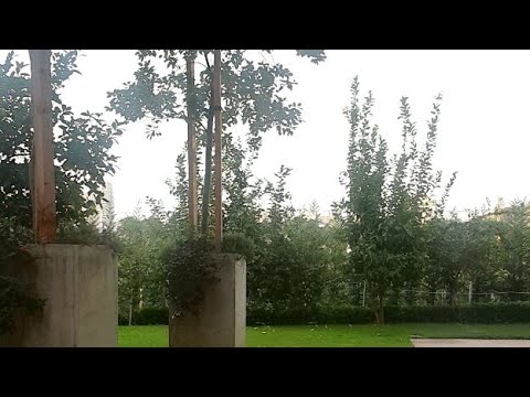 Live Si Inday - YouTube