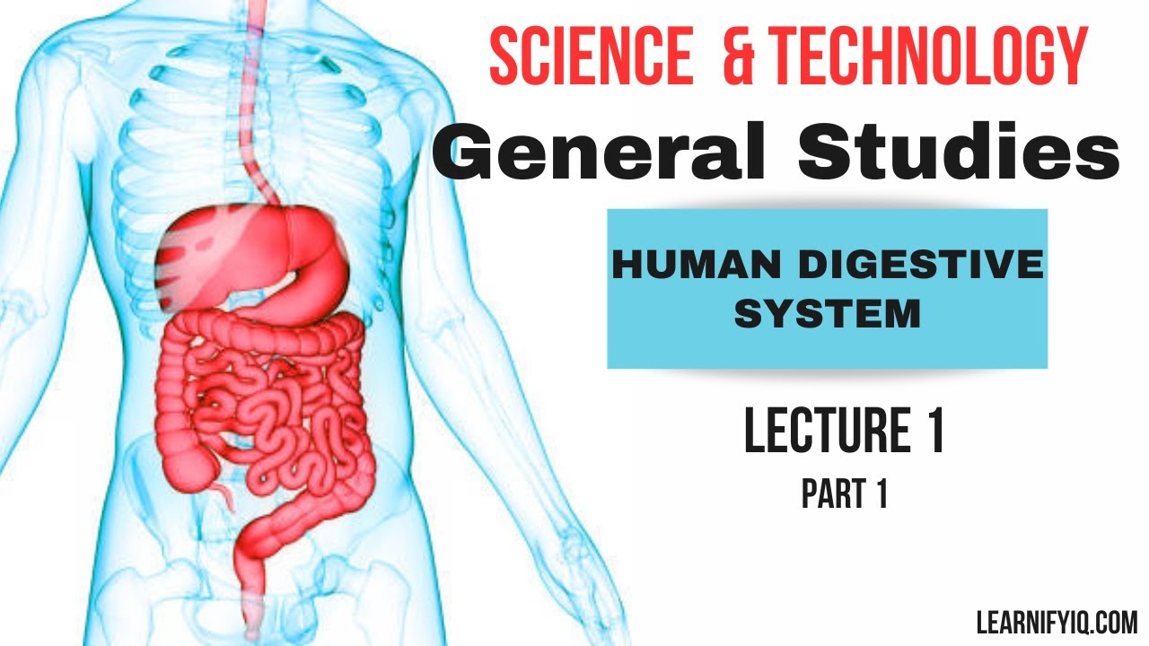Human Digestive System | Lecture 1 | Science & Technology | Lecture 13 ...
